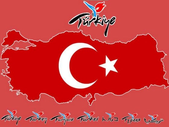 Declaration of activities brigada | PDF