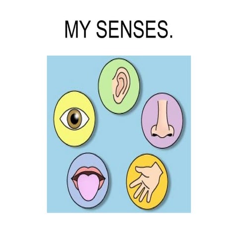 My Fiv Senses. | PPT