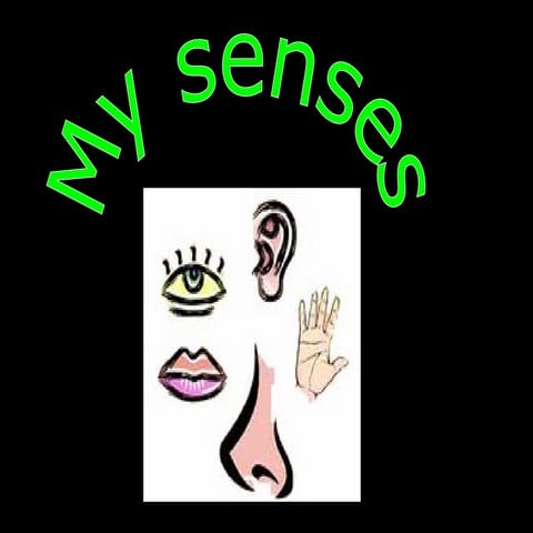 My senses ppt game | PPT