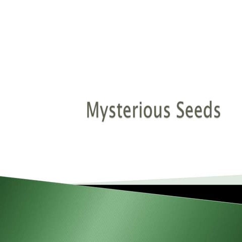Seed Structure Ppt