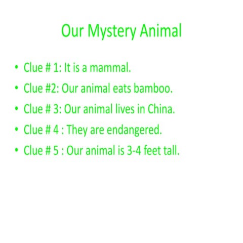 Mystery animal projects 2011 | PPTX | Zoos & Aquariums | Attractions