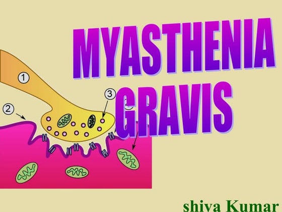 MYASTHENIA GRAVIS | PPSX | Thyroid Disorders | Endocrine and Metabolic ...