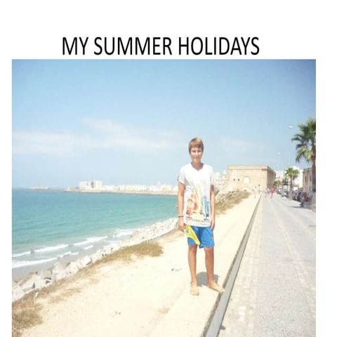 My summer holidays | PPT
