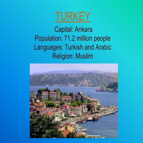 Myturkey | PPTX