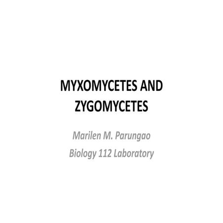 Myxo And Zygo | PDF