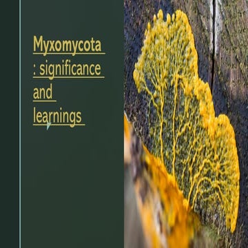Myxomycotina | PPTX