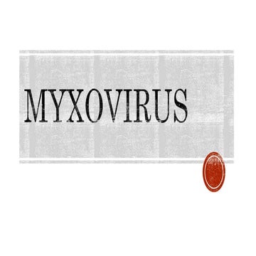 Myxovirus MICROBIOLOGY REVISION | PPTX | Cold and Flu | Diseases and ...