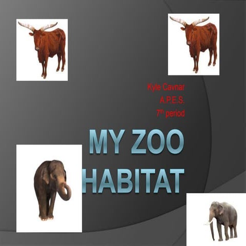 Personal zoo habitat project final presentation | PPTX