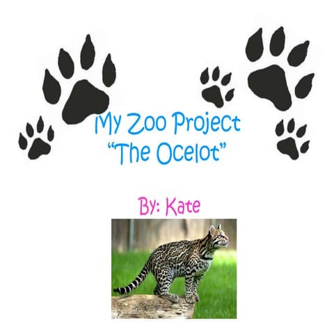 My zoo project final | PPT
