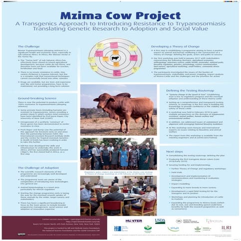Mzima Cow Project: A transgenics approach to introducing resistance to ...
