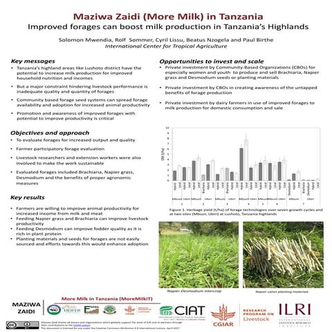 Adopting improved forage grasses and legumes for semi-arid zones in ...