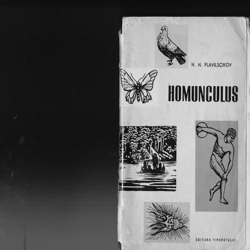 N.n. Plavilscikov - Homunculus | PDF
