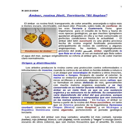 N 20141024 ambar- resina fosil territorio el soplao | PDF