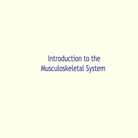 N41B-Introduction to Musculoskeletal Sys.ppt