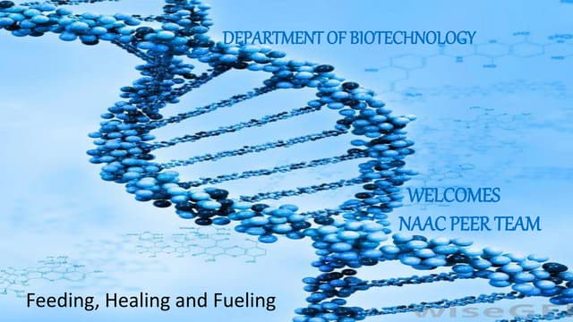 HTML practicals | PDF