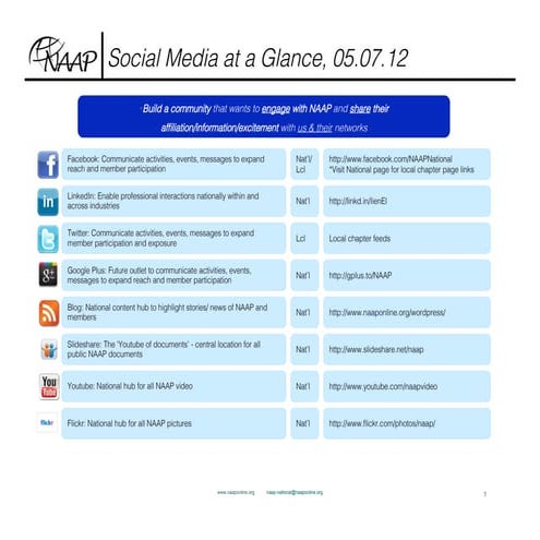NAAP Social Media Snapshot | PDF