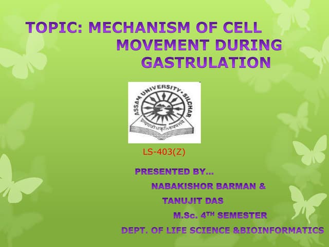 morphogenetic movements-developmental biology | PPTX