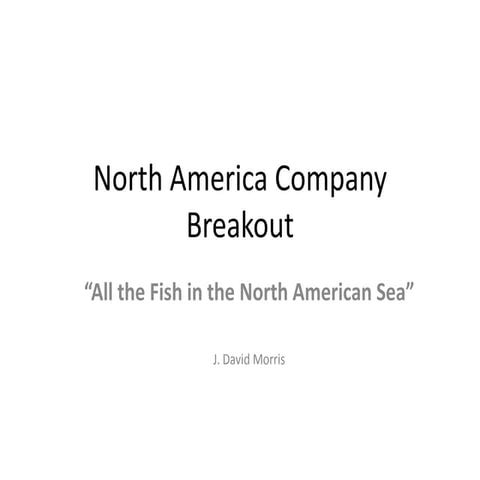 North American Company breakout by Sales Revenue | PPT