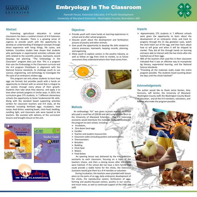 Hatching Chicks In A Special Education Classroom | PPT