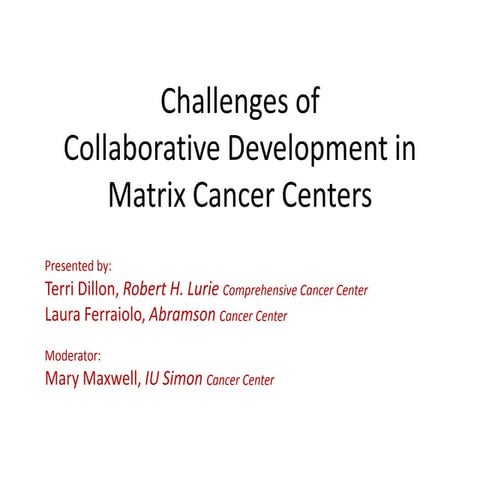 NACCDO Successful Collaboration in Matrix Fundraising Environment - L ...