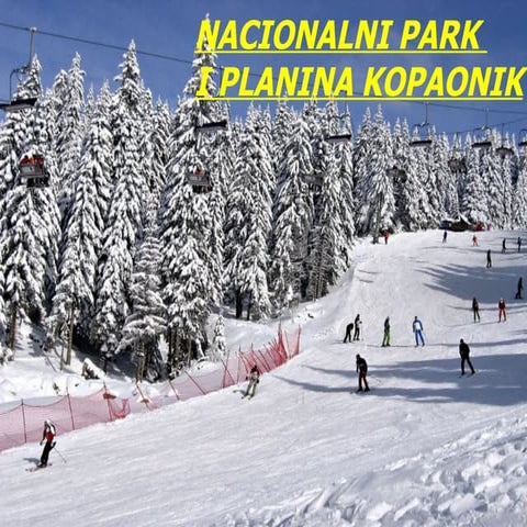 Nacionalni park kopaonik | PPT