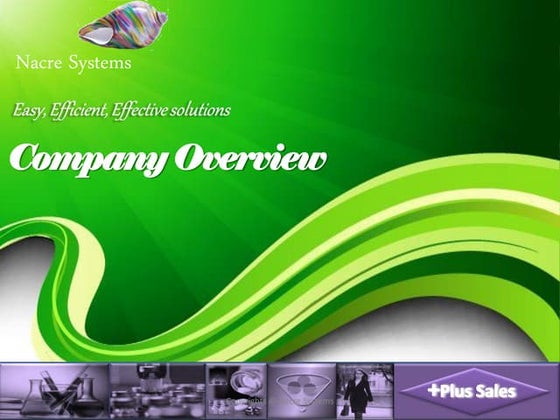 Experis Overview | PDF