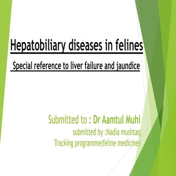 hepatobiliary diseases in felines | PPTX