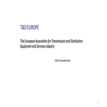 Nadi Assaf, TD EUROPE | PPT