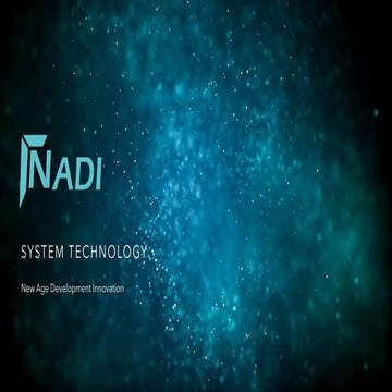 Nadi System Corp - q4 2020 | PDF