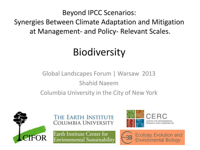 Beyond IPCC Scenarios: Synergies Between Climate Adaptation and ...