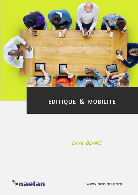 Naelan Software presentations