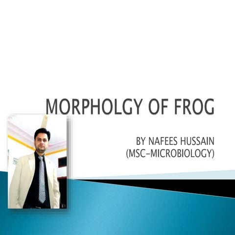 FROG PPT : BY Nafees hussain | PPTX