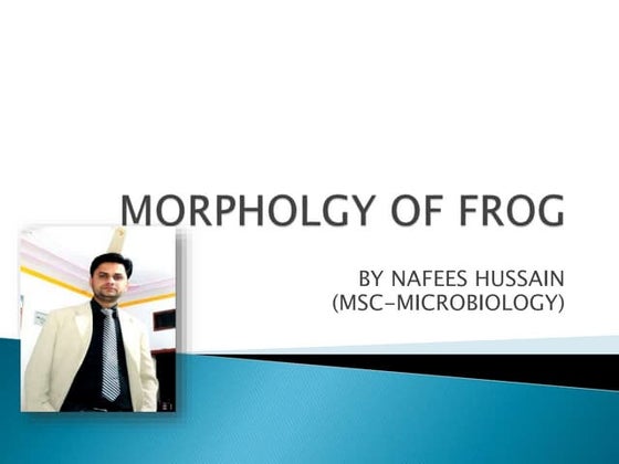 Zoology(External Features of the Frog & Buccal Cavity) | PPT