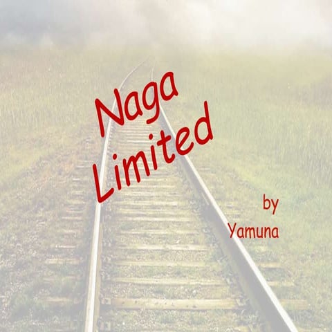 Naga ltd (Naga Mills) | PPTX