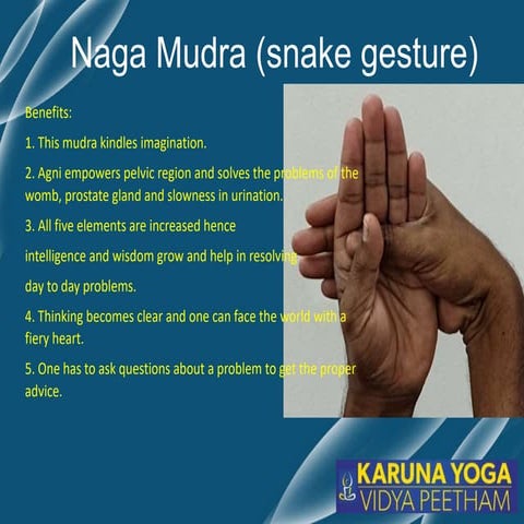 Naga Mudra (snake gesture) - mudra kindles imagination | PPT