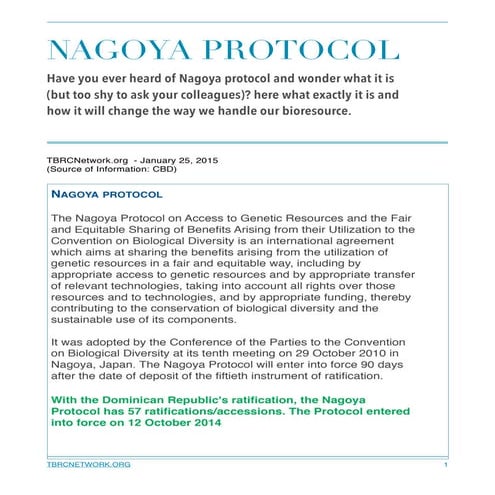 Nagoya | PDF