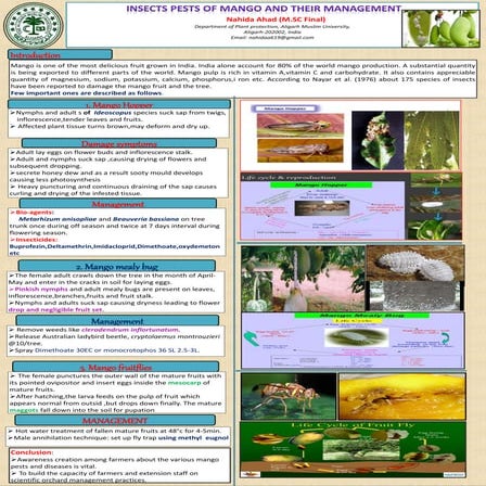 Nahida poster (1) | PDF