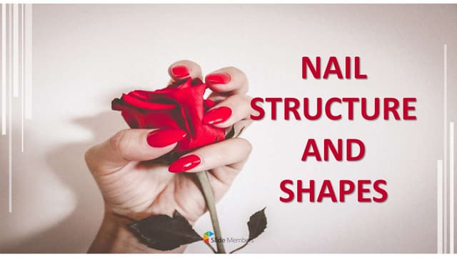Structure of Nail | PPTX