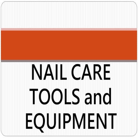 TLE/ HE Beauty Care Curriculum Guide | PDF