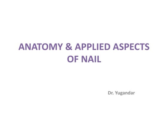 Diagram of the nail structures | PPTX | Nail Care | Beauty