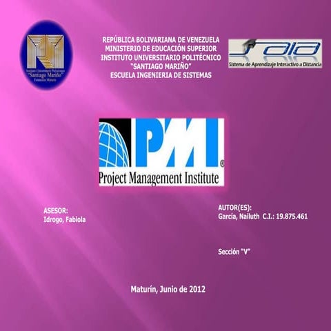 Mapa conceptual de pmi | PPTX
