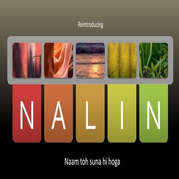 Nalin | PPTX