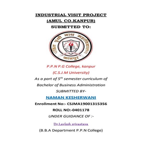 Naman-project-file.docx