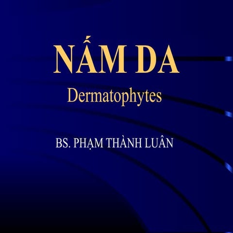 Nam da | PPT