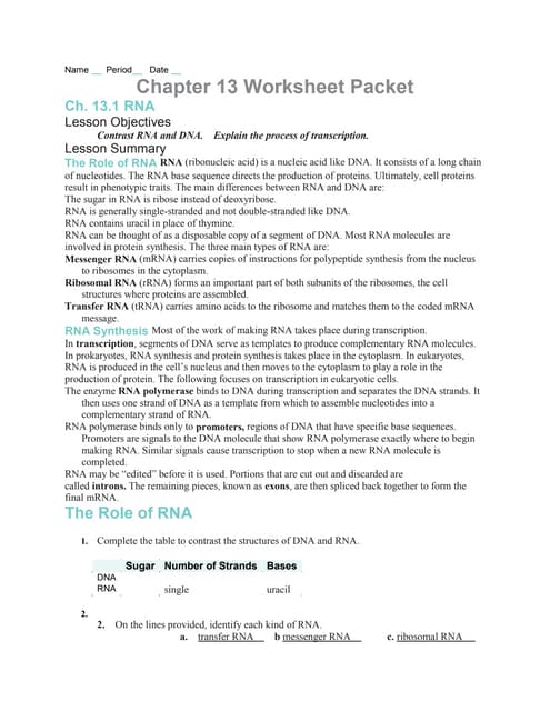 Protein Synthesis Worksheet for Grade 10 | DOCX