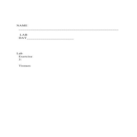 NAME ___________________________________________________ .docx