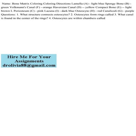 Name Bone Matrix Coloring Coloring Directions Lamella (A) - light bl.pdf