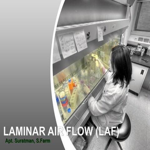 LAF bbbbbbbbbbbbbbbbbbbbbbbbbbbbbbbbbbbbb | PPT