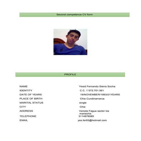Second competence CV form | PDF