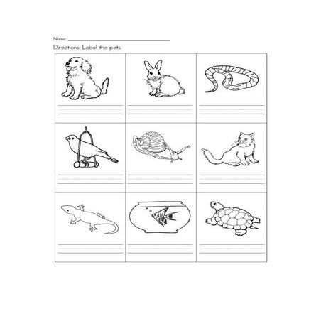 Naming animals | DOC